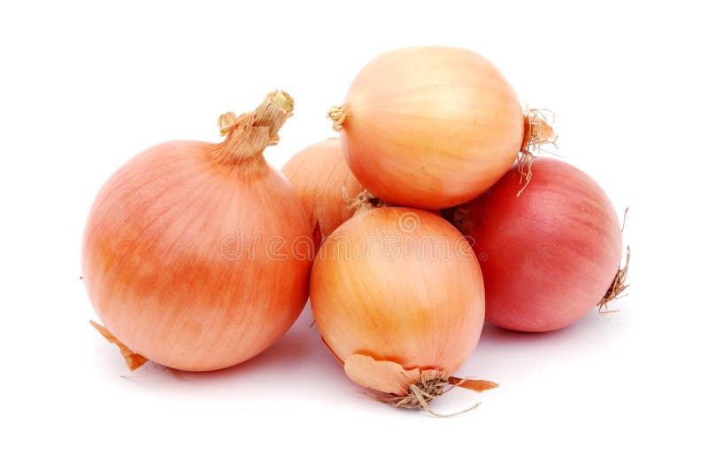 Bulbos de la cebolla imagen de archivo. Imagen de bulbo - 11790841