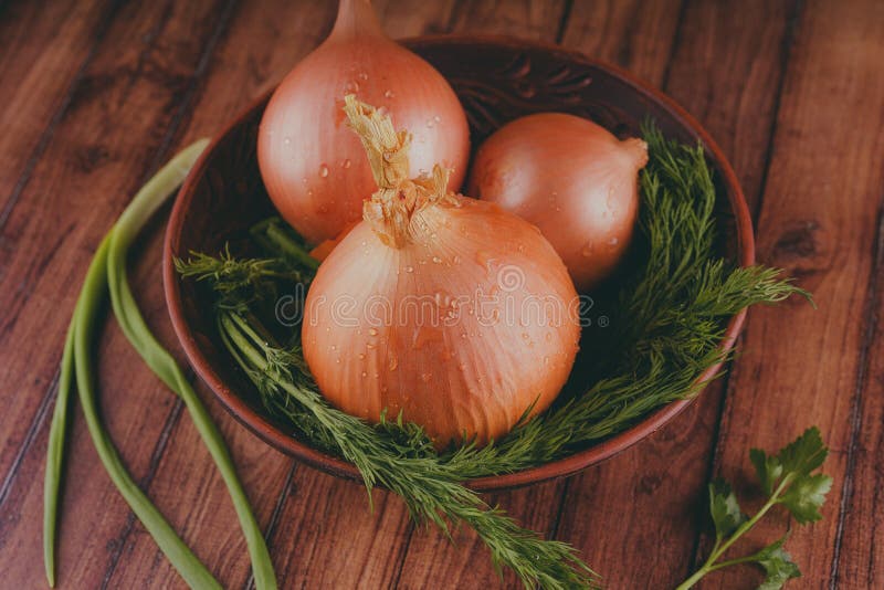 Bulbs of Onion and Dill in Bowl Stock Image - Image of hand, body ...