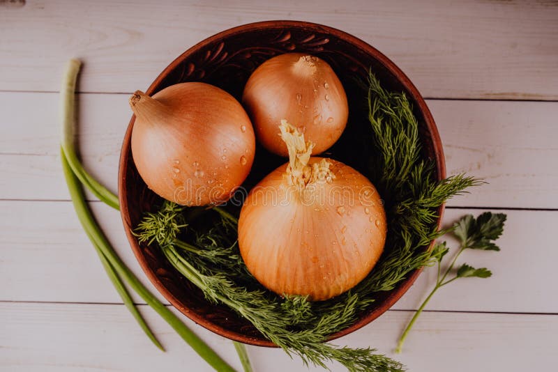 Bulbs of Onion and Dill in Bowl Stock Photo - Image of natural, meal ...