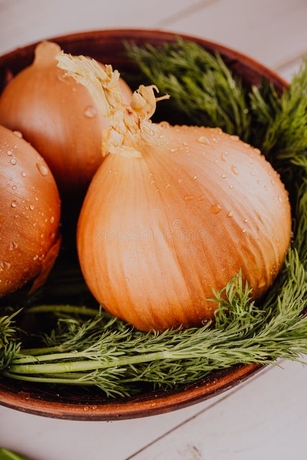 Bulbs of Onion and Dill in Bowl Stock Photo - Image of fresh, natural ...