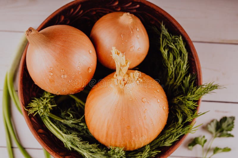Bulbs of Onion and Dill in Bowl Stock Photo - Image of greenery, diet ...