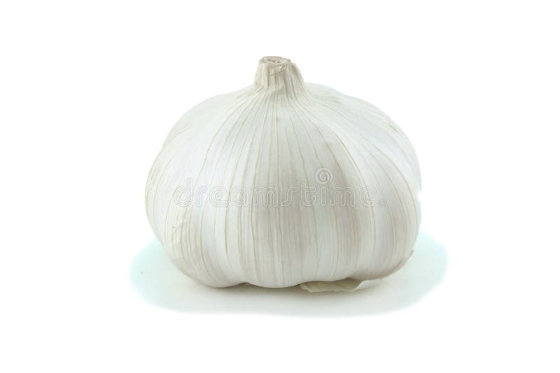 Bulbs of white garlic. stock image. Image of breath, delicious - 11666079