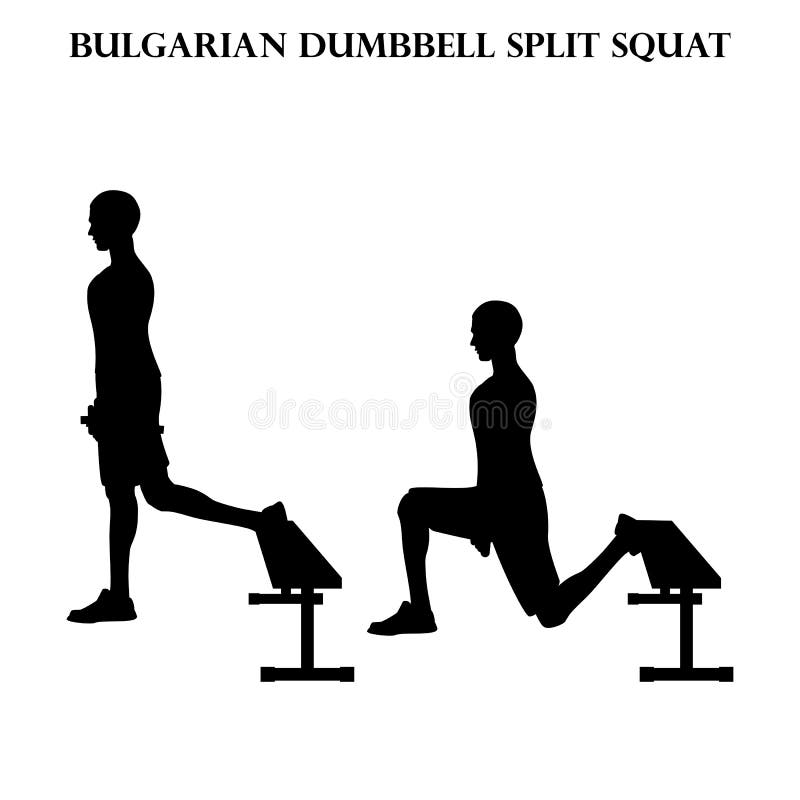 Bulgarian Dumbbell Split Squat Exercise Strength Workout Vector ... Bulgarian Dumbbell Split Squat Exercise Strength Workout Vector ...