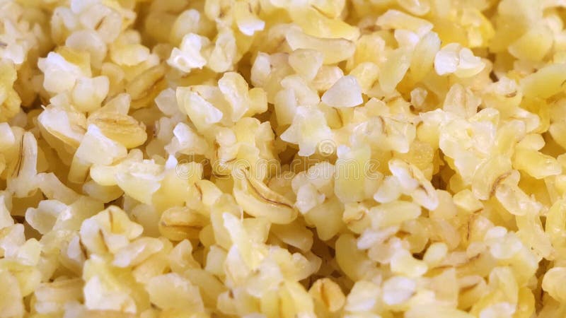 Wheat Grains Planted in a Row are Sprouting and Growing in Time-lapse ...