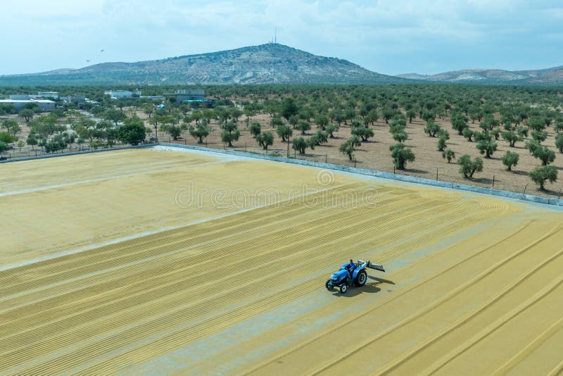 Bulgur Wheat Processing in Gaziantep,Turkey Editorial Image - Image of ...