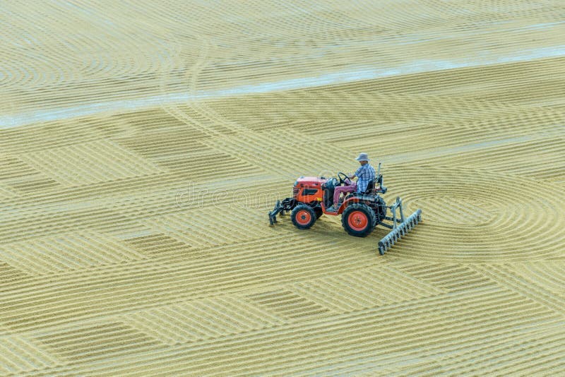 Bulgur Wheat Processing in Gaziantep,Turkey Stock Photo - Image of grow ...