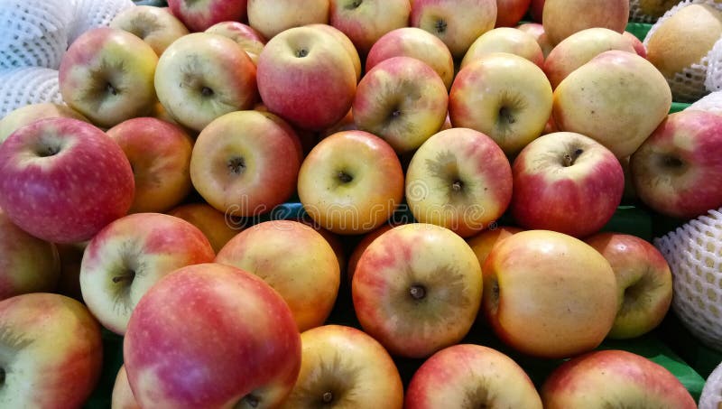 A bulk of apple stock photo. Image of bulk, market, apple - 98586850