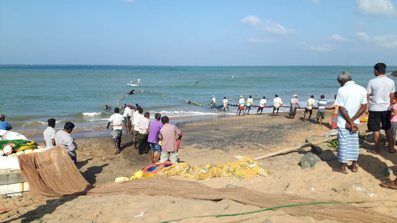 Bulk fishing day time editorial stock image. Image of time - 136376169