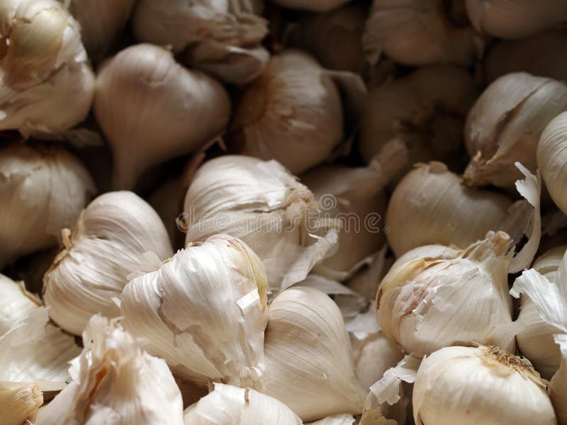 Bulk Garlic in Bin Outdoor Farmers Market Stock Photo - Image of ...