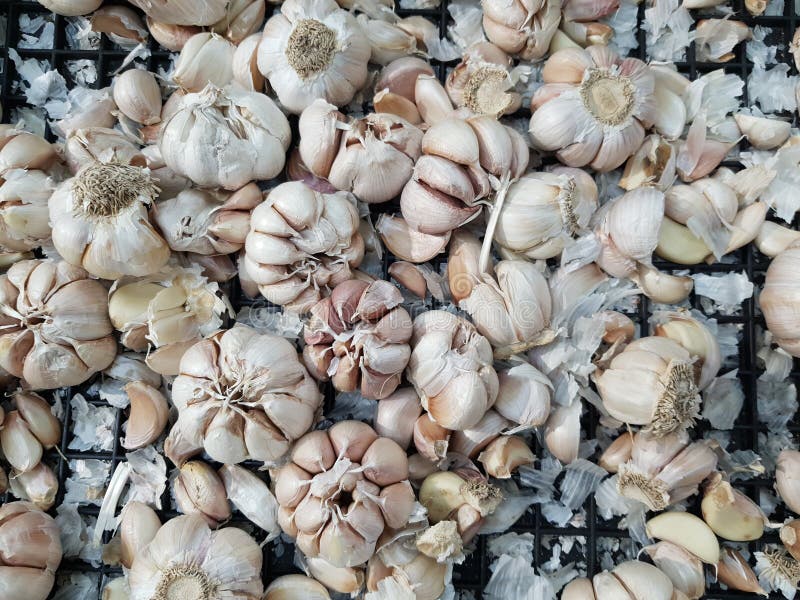 Bulk garlic in the market stock image. Image of garlic - 226710065