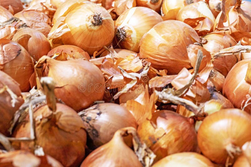 Bulk Onion Heads in the Supermarket. Vitamins Stock Image - Image of ...