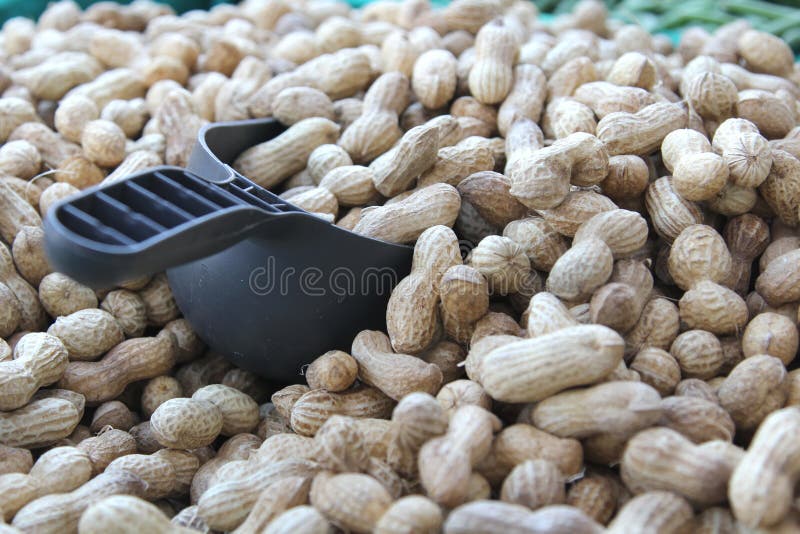 Bulk Peanuts at the Farmer S Market. Stock Image - Image of large ...
