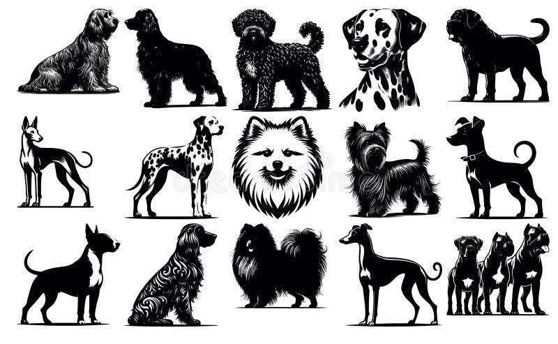 A Bulk Set of Dog Breed Outline Art for Print and Web Stock Vector ...