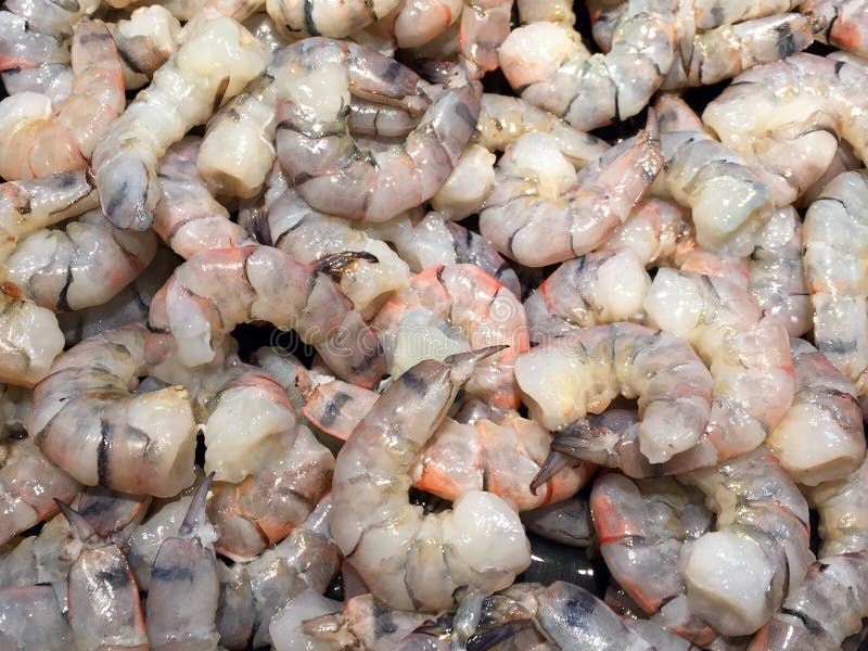 Bulk of shrimps stock photo. Image of fresh, prawns, bulk - 49056082