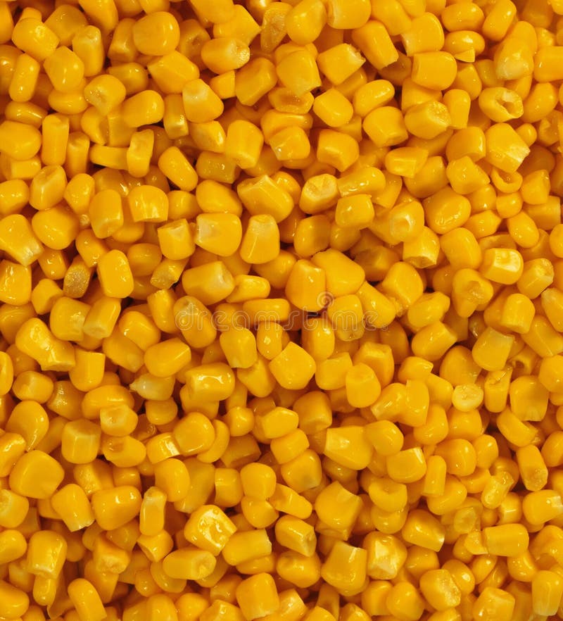 Bulk of yellow corn grains stock photo. Image of popcorn - 127674072