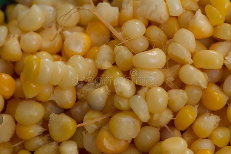 Bulk of Yellow Corn Grains Texture Stock Photo - Image of green, field ...