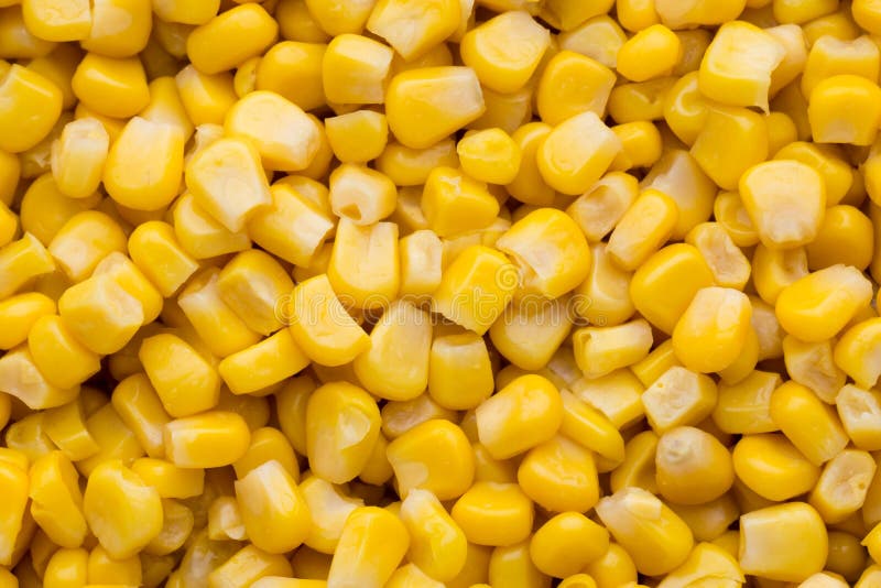 Bulk of Yellow Corn Grains Texture. Stock Photo - Image of cultivation ...