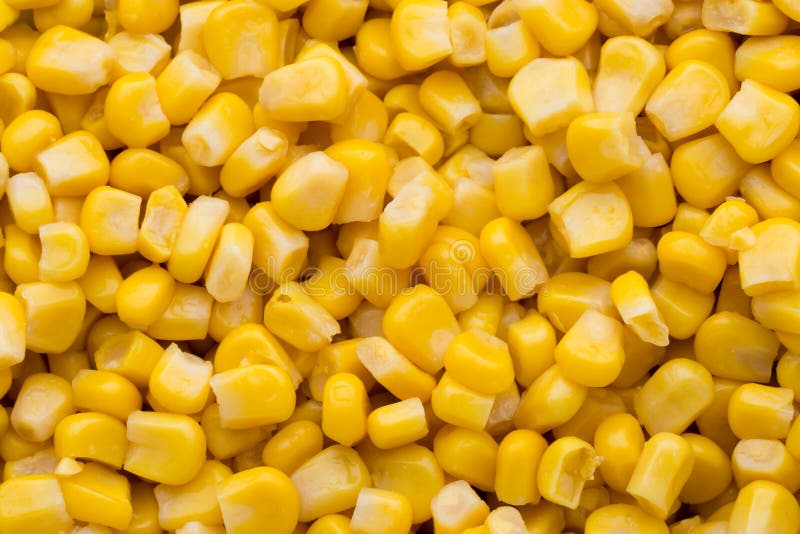 Bulk of Yellow Corn Grains Texture. Stock Photo - Image of macro, grain ...
