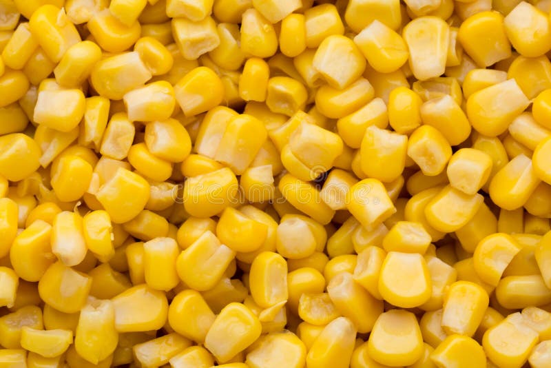 Bulk Of Yellow Corn Grains Texture. Stock Image - Image of seeds ...