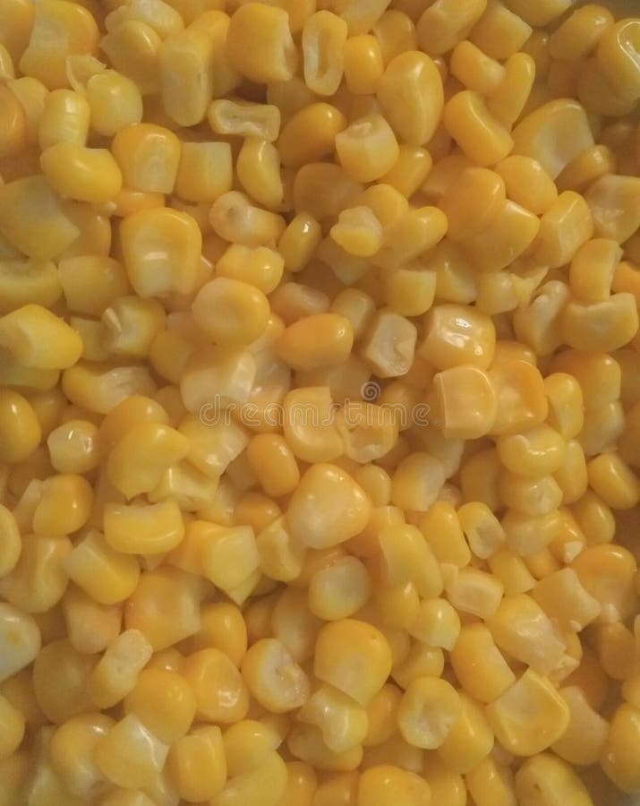 Bulk of Yellow Corn Grains Texture Stock Photo - Image of maize, grain ...