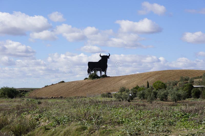 A Bull in Spain stock photo. Image of costa, background - 84935358