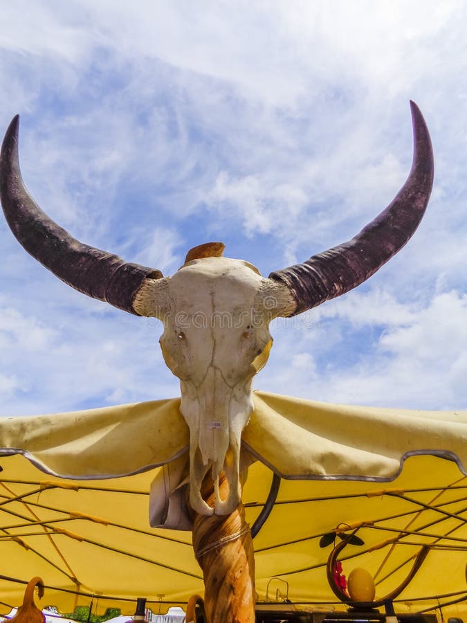 Bull stock photo. Image of stone, travel, dead, bull - 54344156