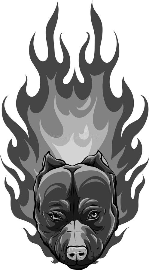 Bulldog Flame stock vector. Illustration of shadow, attack - 89823282
