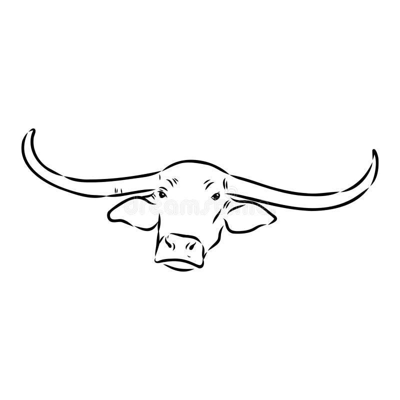 Bull in Doodle Style. Icons Sketch Hand Made. Vector Editable Stroke ...