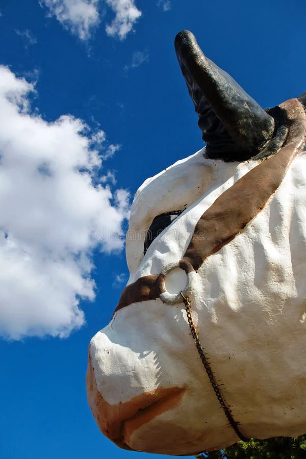 Bull Face stock photo. Image of beef, head, livestock - 10863068