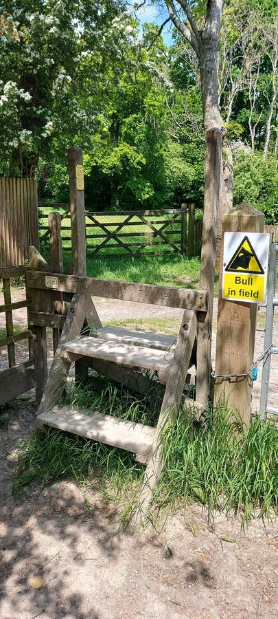Bull in Field Warning Sign. Stock Photo - Image of sign, warning: 279923000