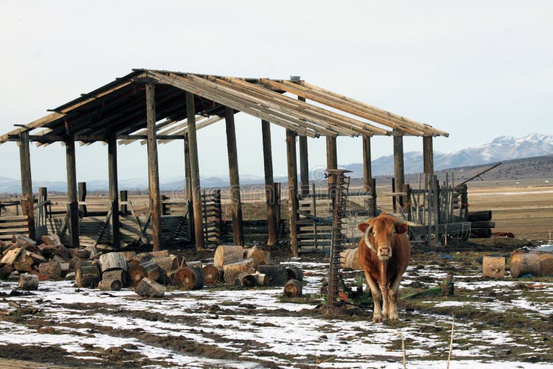 Empty Stable High Desert Stock Photos - Free & Royalty-Free Stock ...