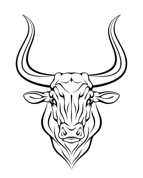 Bull Head Line Drawing Stock Illustrations – 3,316 Bull Head Line ...