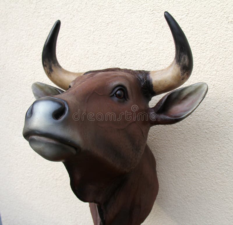 44,212 Bull Head Stock Photos - Free & Royalty-Free Stock Photos from ...
