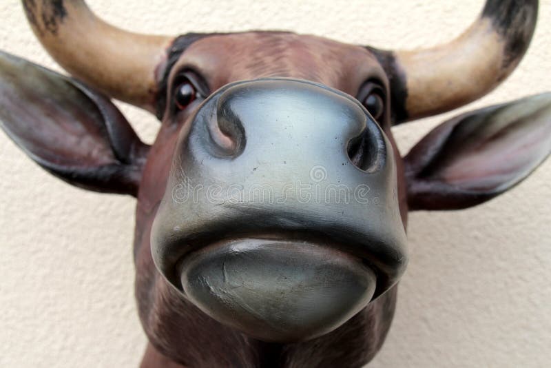 54,644 Bull Head Stock Photos - Free & Royalty-Free Stock Photos from ...