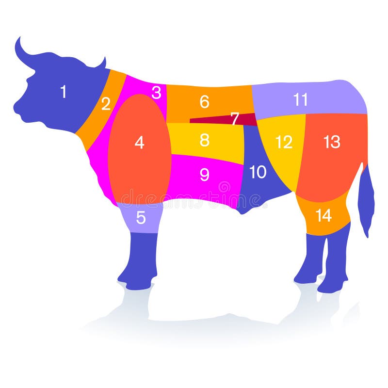 Bull meat stock vector. Illustration of farm, rind, meat - 12624253