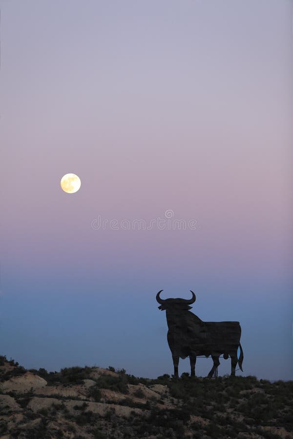 Bull and Moon editorial photo. Image of evening, scene - 28554501