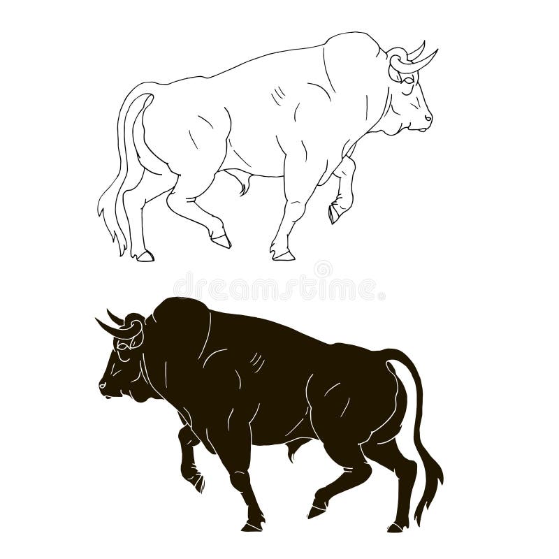 Bull Head Drawing Side