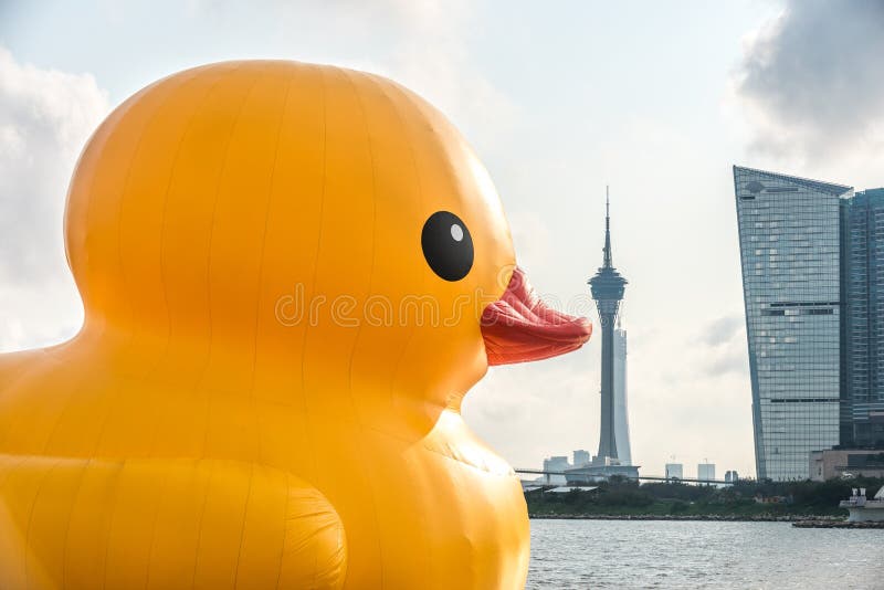 The Bull and the Rhubarb (yellow) Duck Editorial Stock Photo - Image of ...