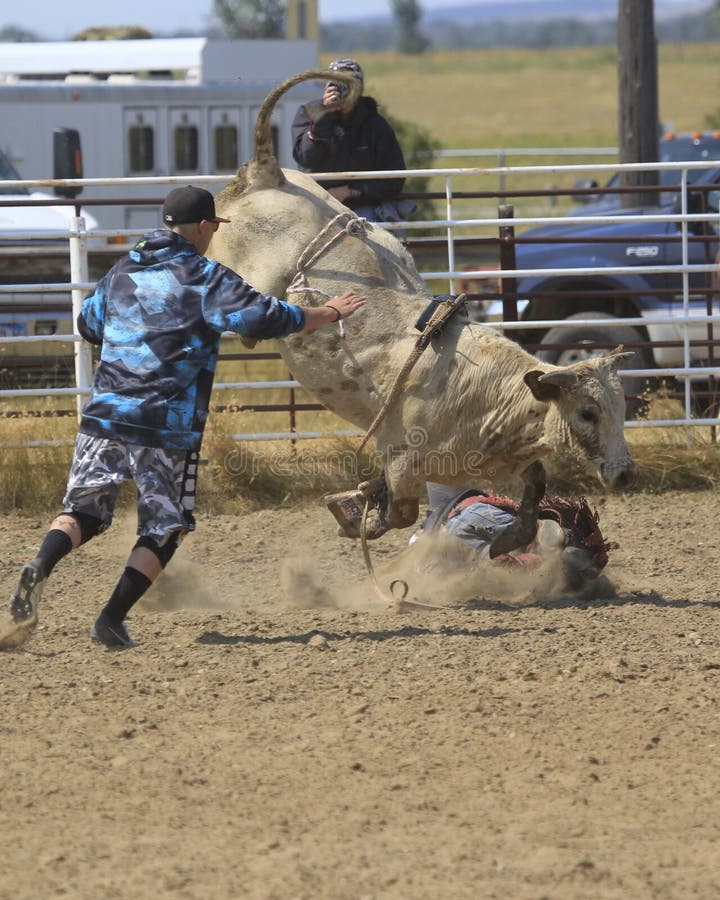 Bull Ride Rodeo editorial stock photo. Image of buck - 94414943