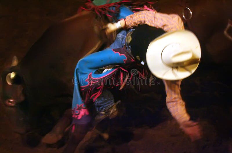 Bull Rider stock photo. Image of farm, compete, bull, midwest - 2355732