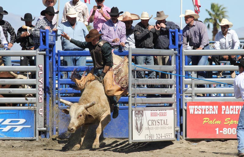 Bull Rider Out of the Gate editorial photo. Image of southern - 19250191