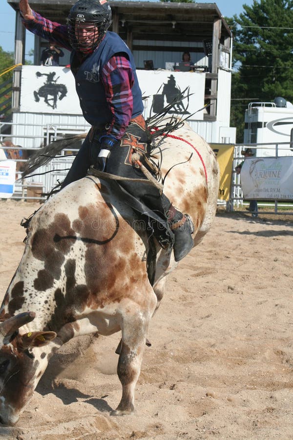 Bull rider 2 editorial stock image. Image of riverfalls - 107091029