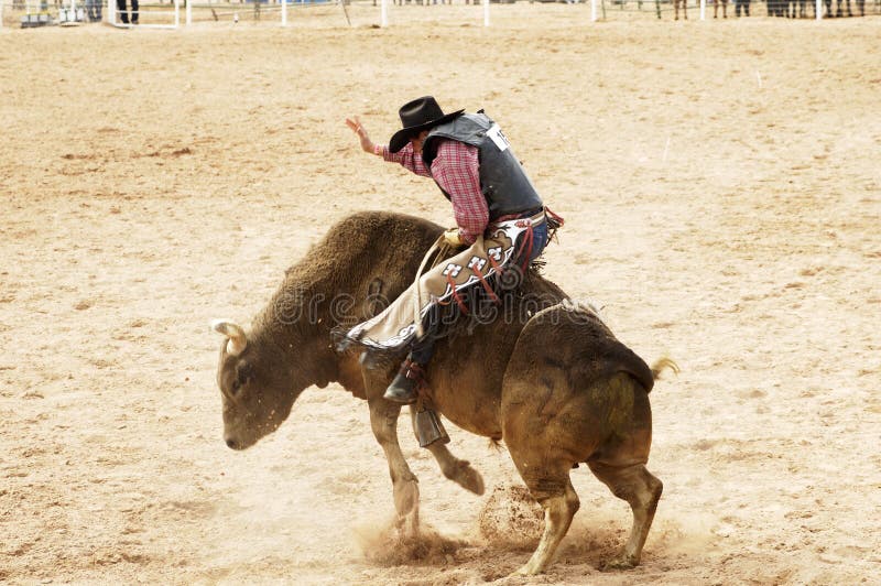 Bull Riding Gate Stock Photos - Free & Royalty-Free Stock Photos from ...