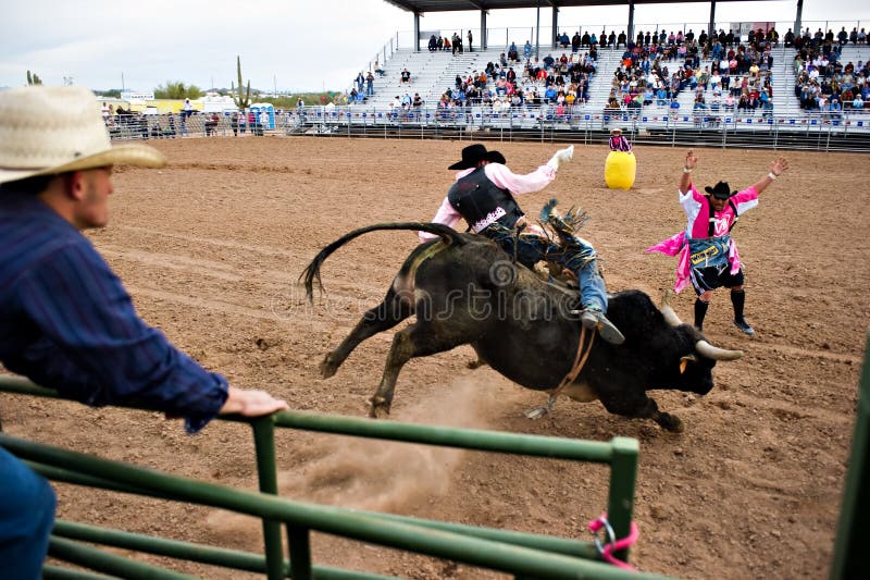 Bull riding editorial photography. Image of bucking, competition - 13267832