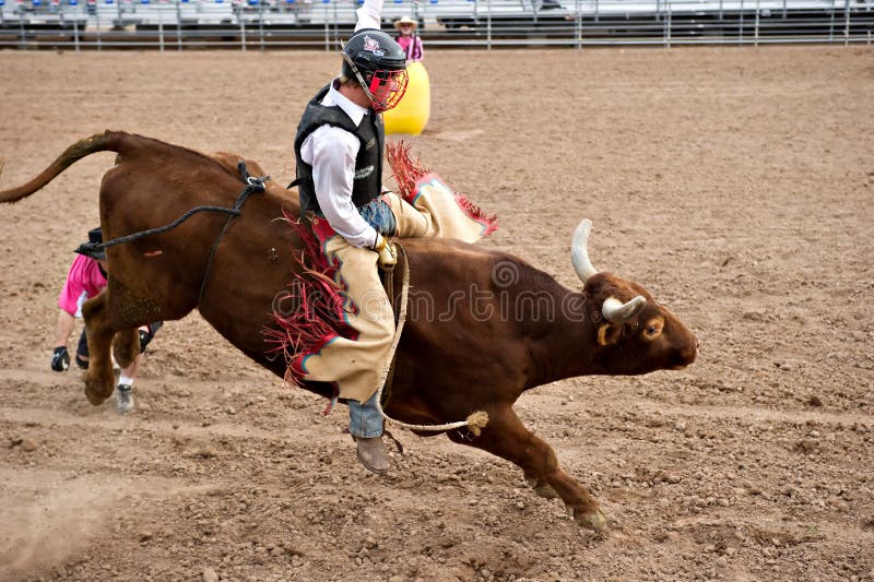 Bull riding editorial photography. Image of bucking, sport - 13267822