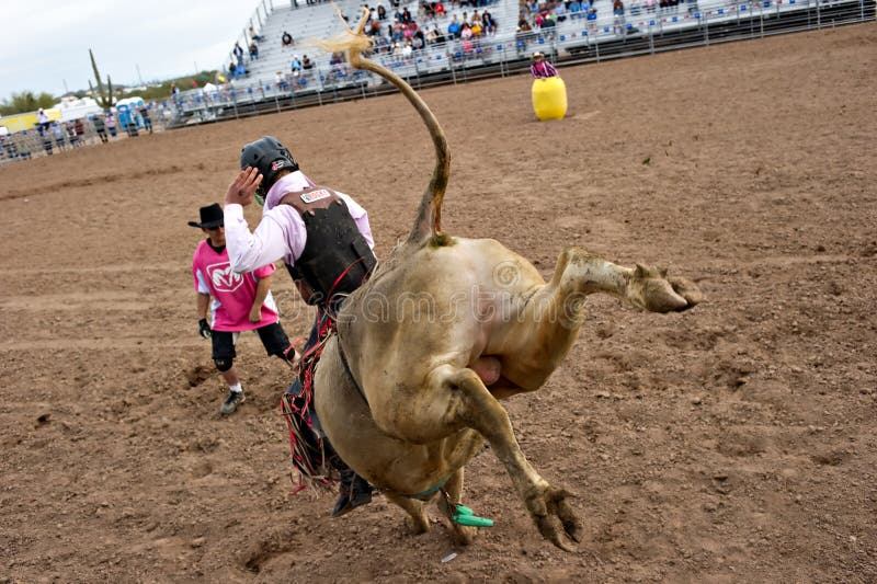Bull riding editorial stock photo. Image of dutchman - 13267808