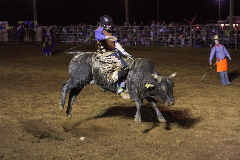 Cowboy Bull Riding a Bucking Bull Stock Photo - Image of animal ...