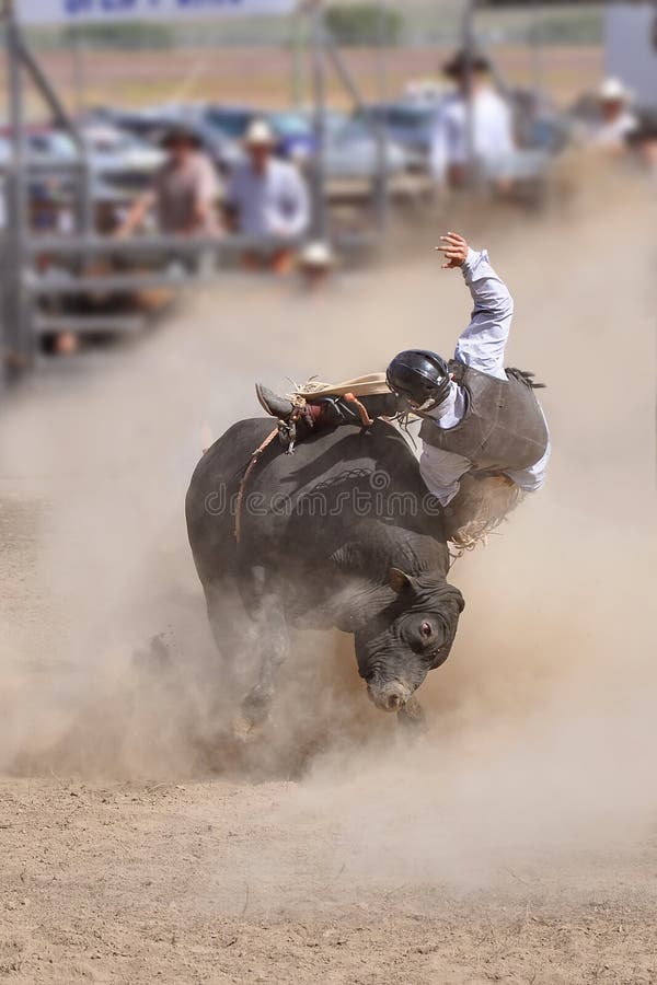 Bull Riding Cowboy at Rodeo Editorial Image - Image of dangerous, event ...