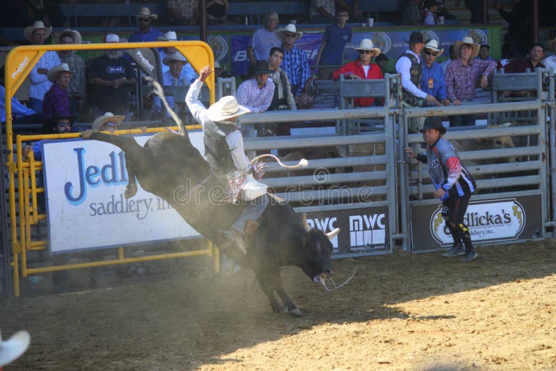 Bull Riding editorial photo. Image of rodeo, riding, santa - 43578761