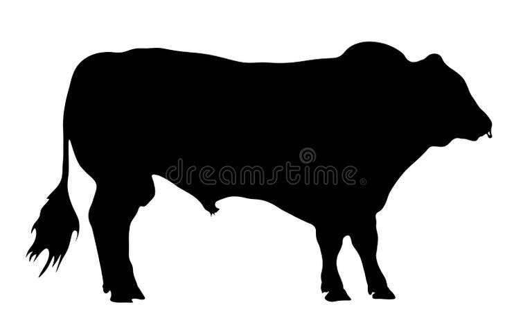 Bull Silhouette stock photo. Illustration of livestock - 135406040